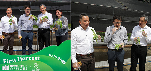 Urban Agriculture Is Making Its Way Onto Office Rooftops and This ...